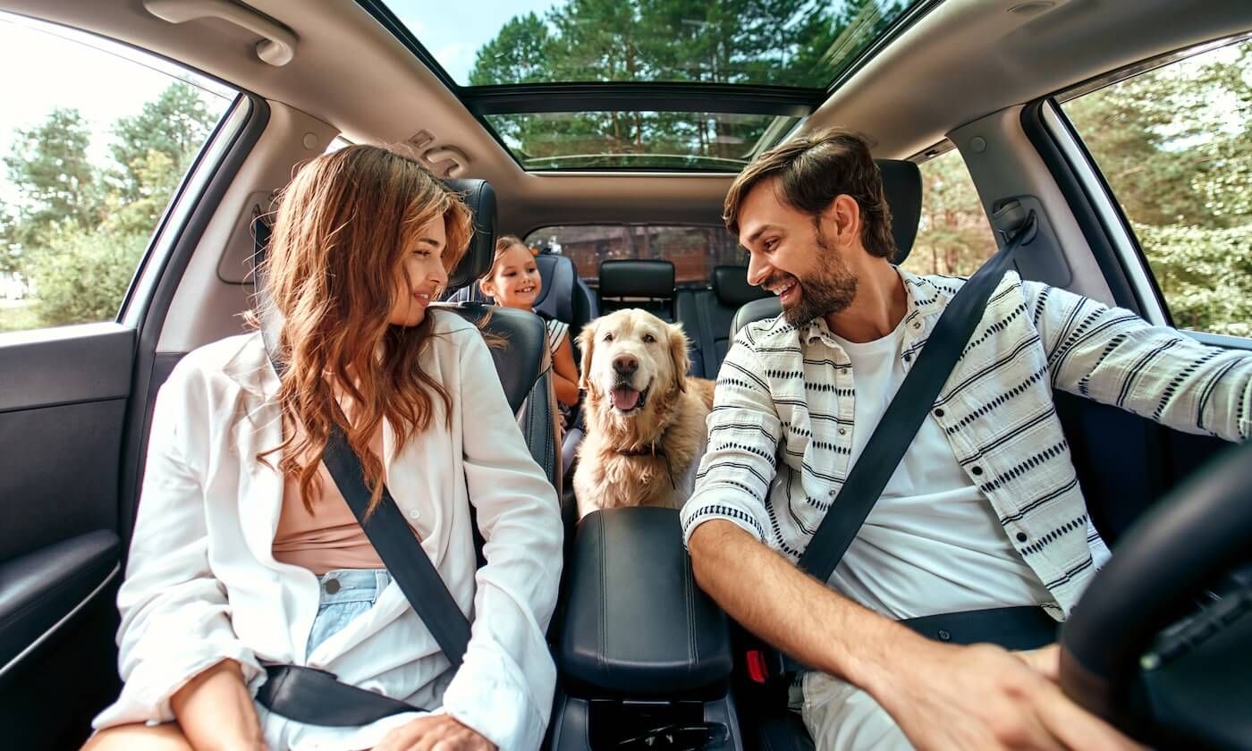 What to Do Once You Pay Off Your Car - Experian